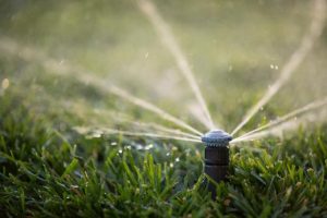 What is a Double Check Valve - Punchlist Zero